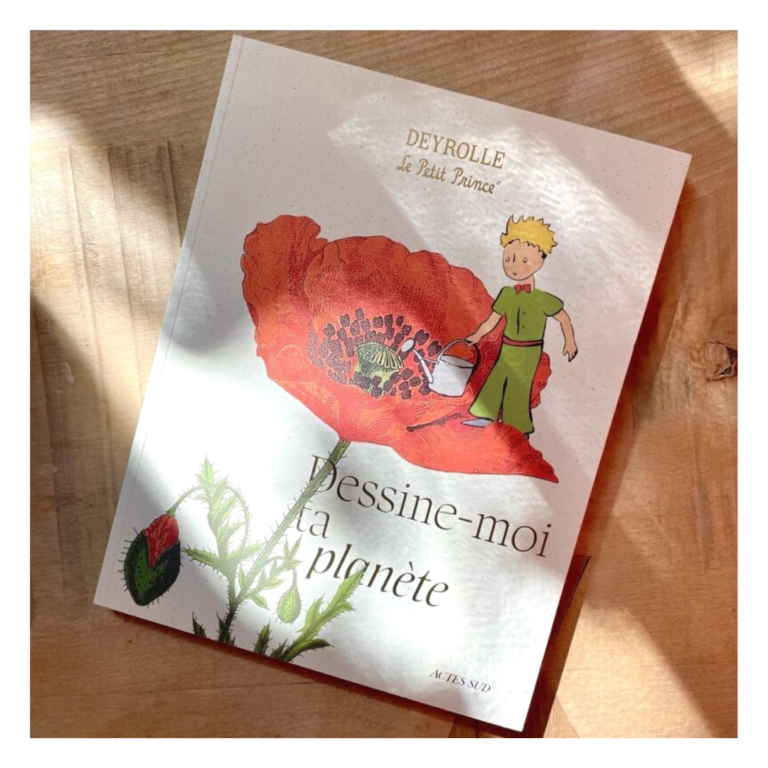 Le livre Dessine-moi ta planète de Deyrolle disponible ! – Le Petit Prince